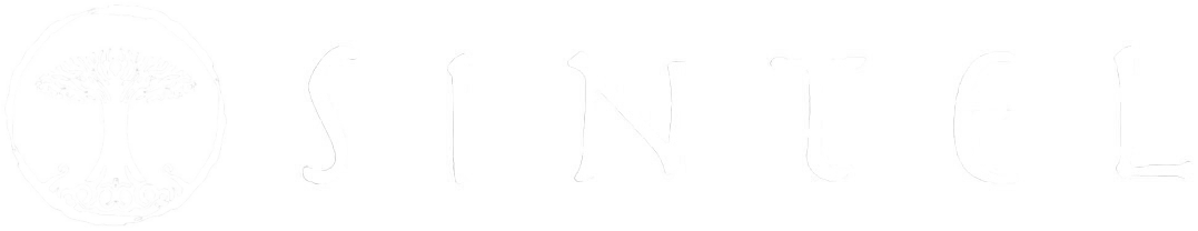 Sintel - Blender Studio